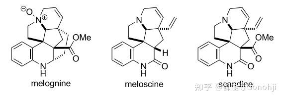 天然产物Melognine全合成 - 知乎