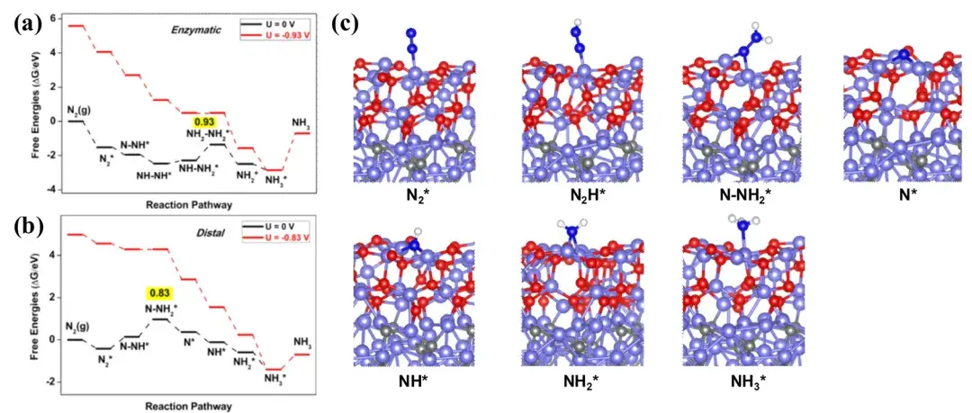 两种主流计算方法的正确应用方式“DFT计算还是MD模拟”？ - 知乎