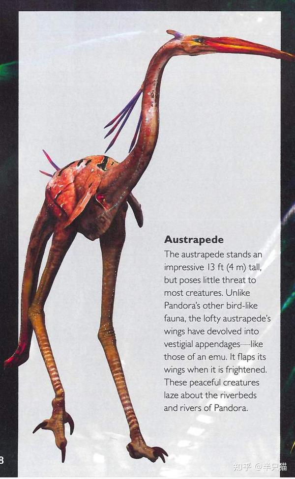 解密《阿凡达》生物档案：它们的设计合理吗？ - 知乎