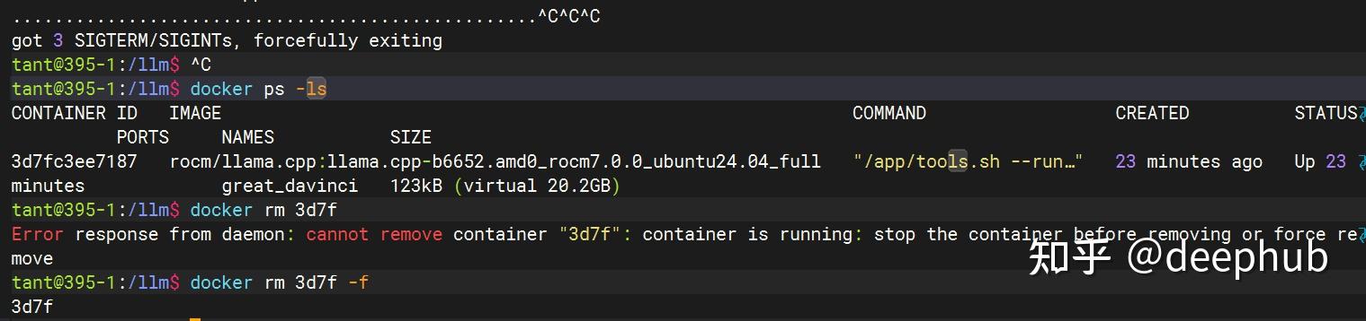 AMD AI 395 显卡 LLM 推理测试：LLAMA.CPP的Vulkan 与 ROCM 后端对比 - 知乎