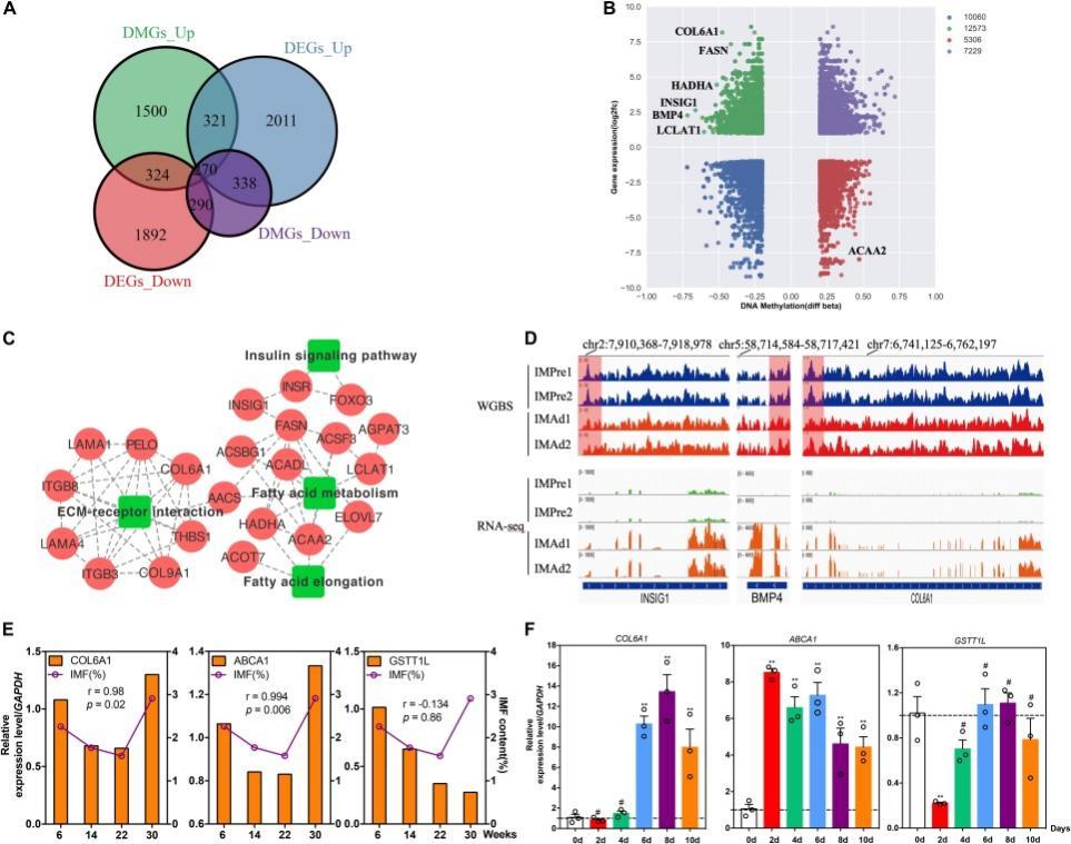 WGBS跟RRBS如何选择？表观DNA甲基化和转录调控结果关联思路 - 知乎