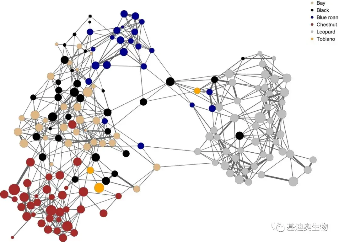 更精准的近交评估分析策略—ROH介绍及应用 - 知乎