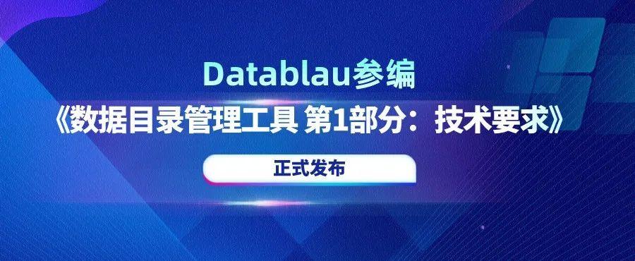 专业领航 | Datablau参编的数据治理标准正式发布！ - 知乎