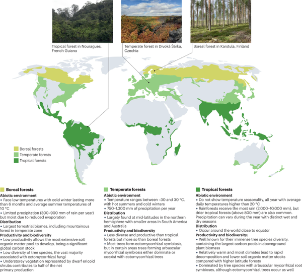 Nature Reviews Microbiology | 森林微生物组与全球变化！ - 知乎