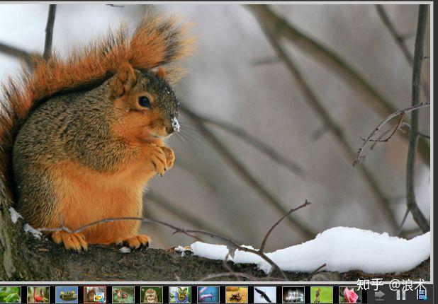 ASP.NET Image Gallery 3.1 - 知乎