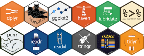 R语言 tidyverse中的dplyr package基于gapminder数据包的简介 - 知乎