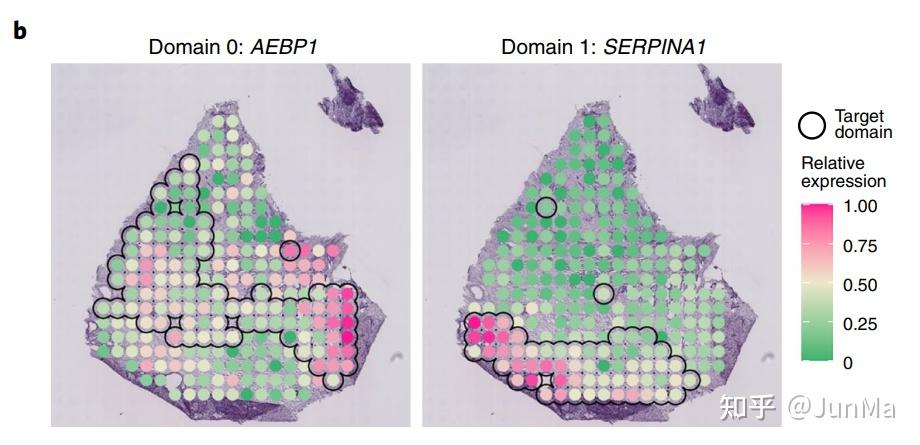 202110-Nature Methods-SpaGCN学习笔记 - 知乎