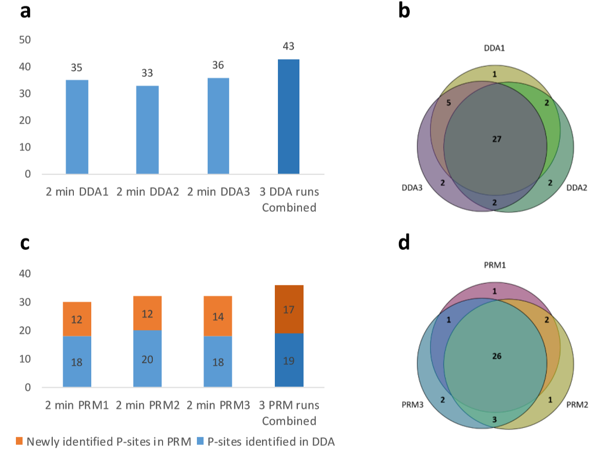 Anal. Chem. | 中科院叶明亮博士PRM技术靶向蛋白质组学分析蛋白复合物蛋白质磷酸化修饰 - 知乎
