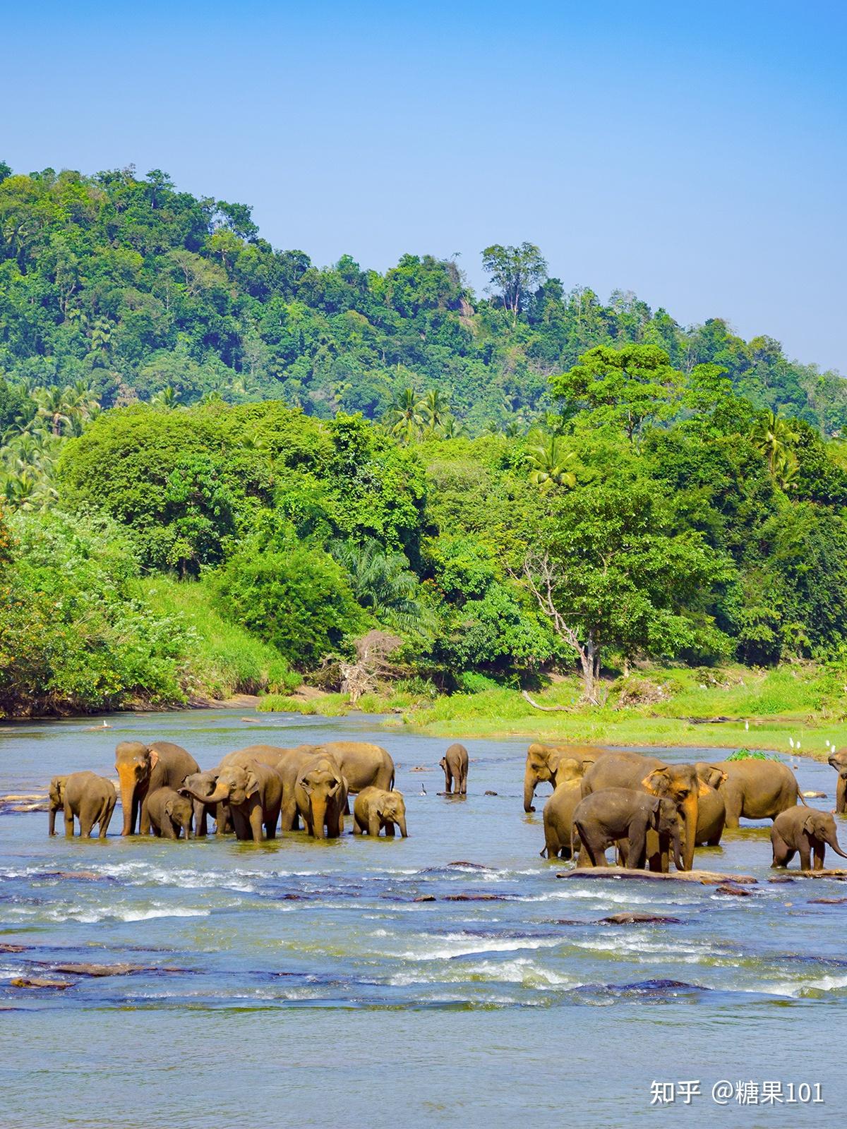 斯里兰卡旅游攻略 - 知乎