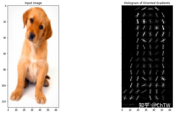 图像特征工程：HOG 特征描述符的介绍 - 知乎