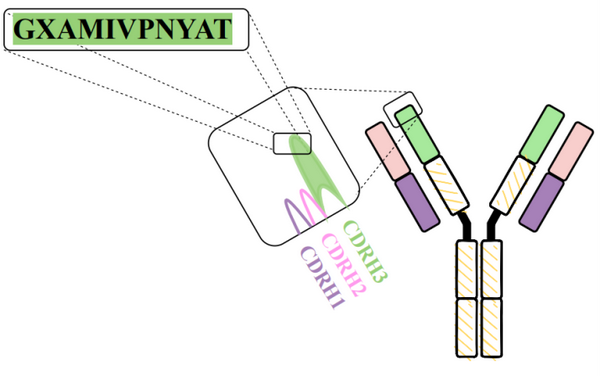 基于组合贝叶斯优化的自动化抗体设计 - 知乎