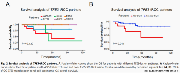 与肿瘤相关的那些明星基因：肾癌之TFE3 - 知乎