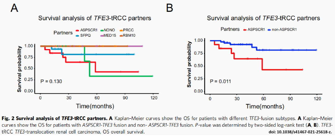 与肿瘤相关的那些明星基因：肾癌之TFE3 - 知乎