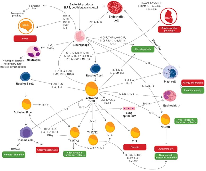 生物分析 | 生物标志物在临床生物分析中的分析策略及案例分享 - 知乎