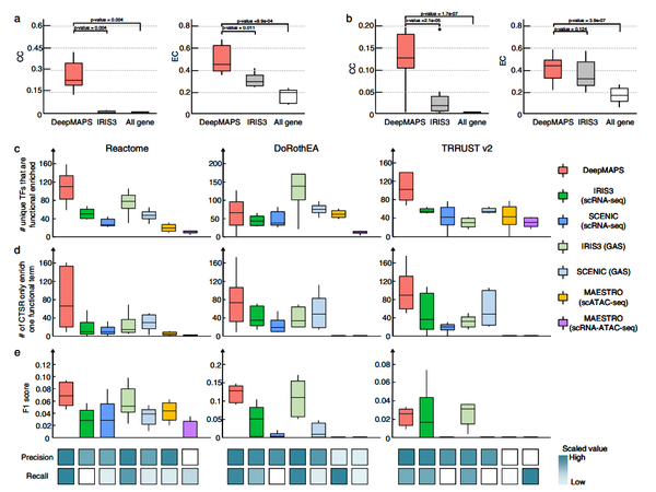 Nat. Commun. | 基于异构图Transformer的单细胞生物网络推理 - 知乎