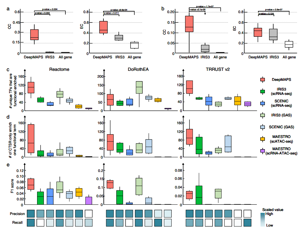 Nat. Commun. | 基于异构图Transformer的单细胞生物网络推理 - 知乎
