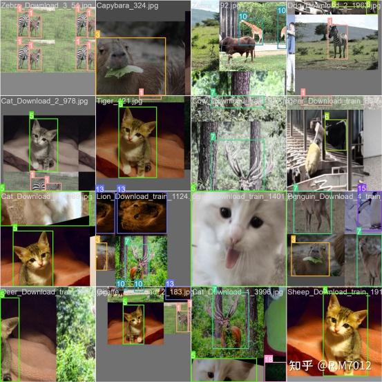 基于YOLOv8模型的19类动物目标检测系统（PyTorch+Pyside6+YOLOv8模型） - 知乎