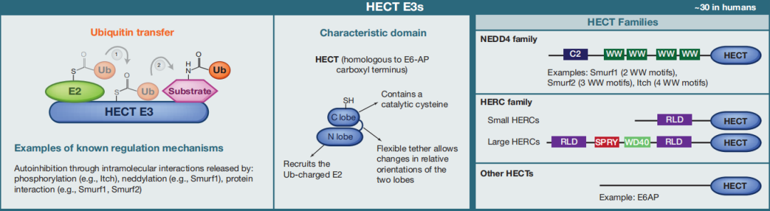 三个蛋白之间的关系如何研究？（二） - 知乎