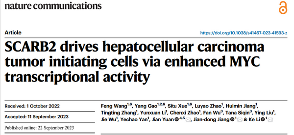 项目文章丨SCARB2通过增强MYC转录活性驱动肝癌肿瘤发生 - 知乎