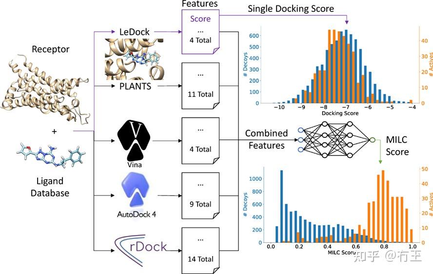【原创】杨百翰大学Dennis Della Corte小组JCIM论文：荟萃了5种分子对接软件的一致性对接新工具MILCDock - 知乎