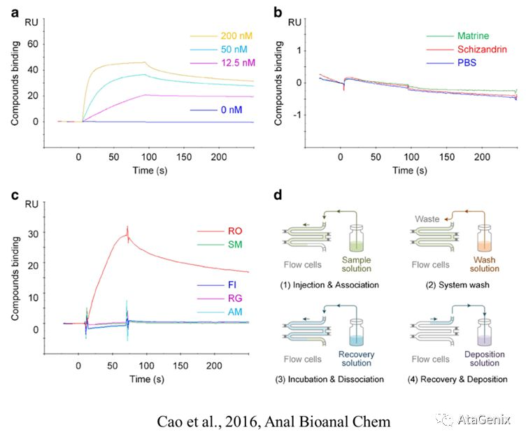 干货—Biacore分子间相互作用在科研中的应用最全汇总 - 知乎