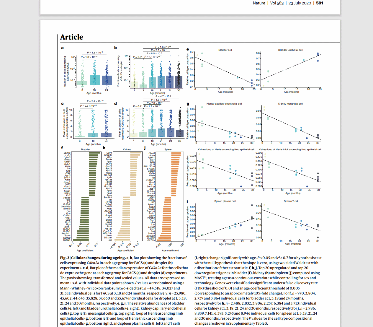 科研必备的免费截图神器——snipaste - 知乎