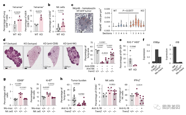 Nat Immu | 巨噬细胞抑制肺癌中NK细胞的募集和激活 - 知乎