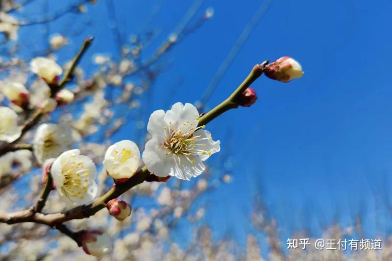 公司内斗严重，我要不要离职？ - 知乎