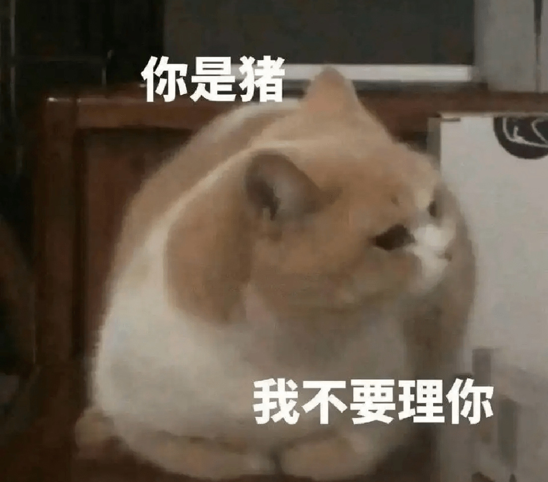 猫咪表情包合集（1）：喵星人表情包，猫表情包，高清无水印 - 知乎