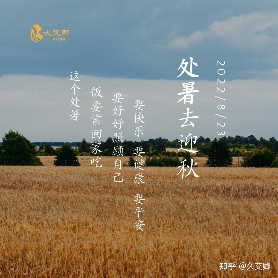 今日处暑 知乎