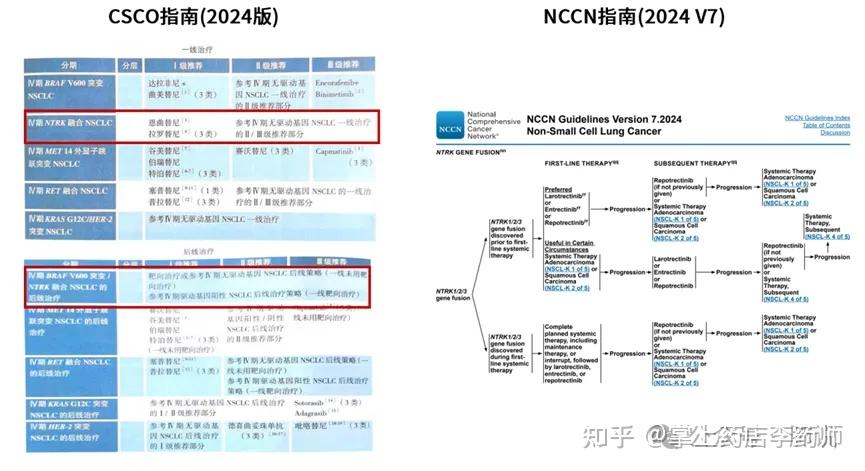 非小细胞肺癌（NSCLC）9大驱动基因：CSCO vs NCCN 治疗指南策略对比分析！附上市及医保报销条件 - 知乎