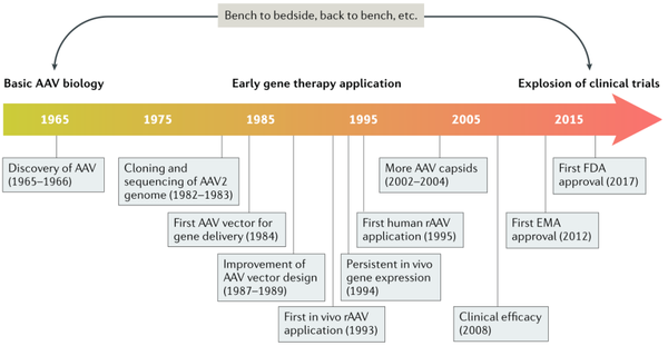 Nat Rev Drug Discov︱高光坪详述基因治疗明星载体腺相关病毒 - 知乎