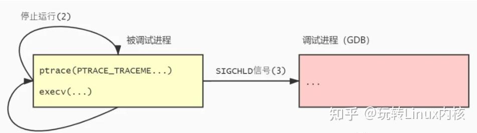 看懂GDB调试核心：剖析ptrace原理及其应用场景！ - 知乎