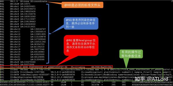 数据格式（六）——SAM\BAM - 知乎