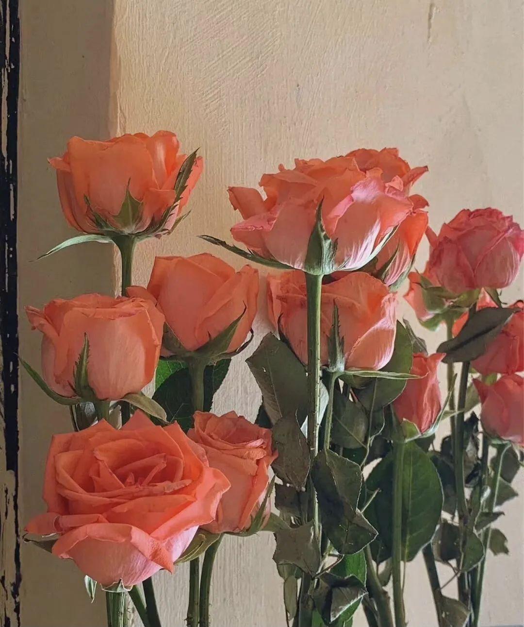 300张无敌好看的Apple Watch壁纸 - 知乎