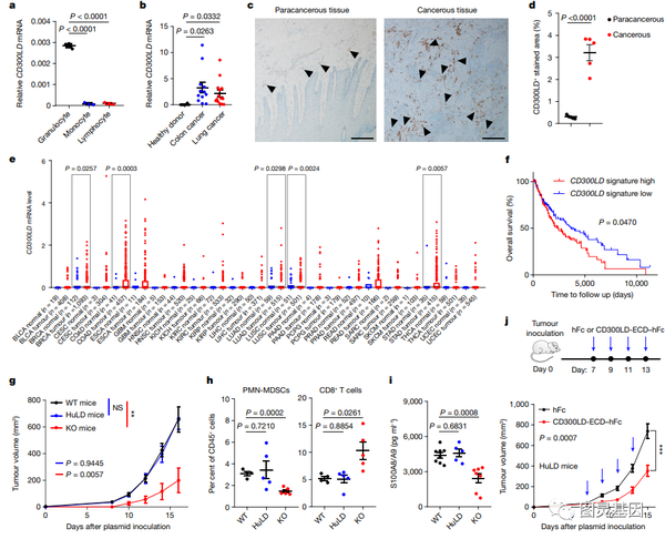 Nature | 复旦大学团队发现免疫治疗新靶点CD300ld - 知乎