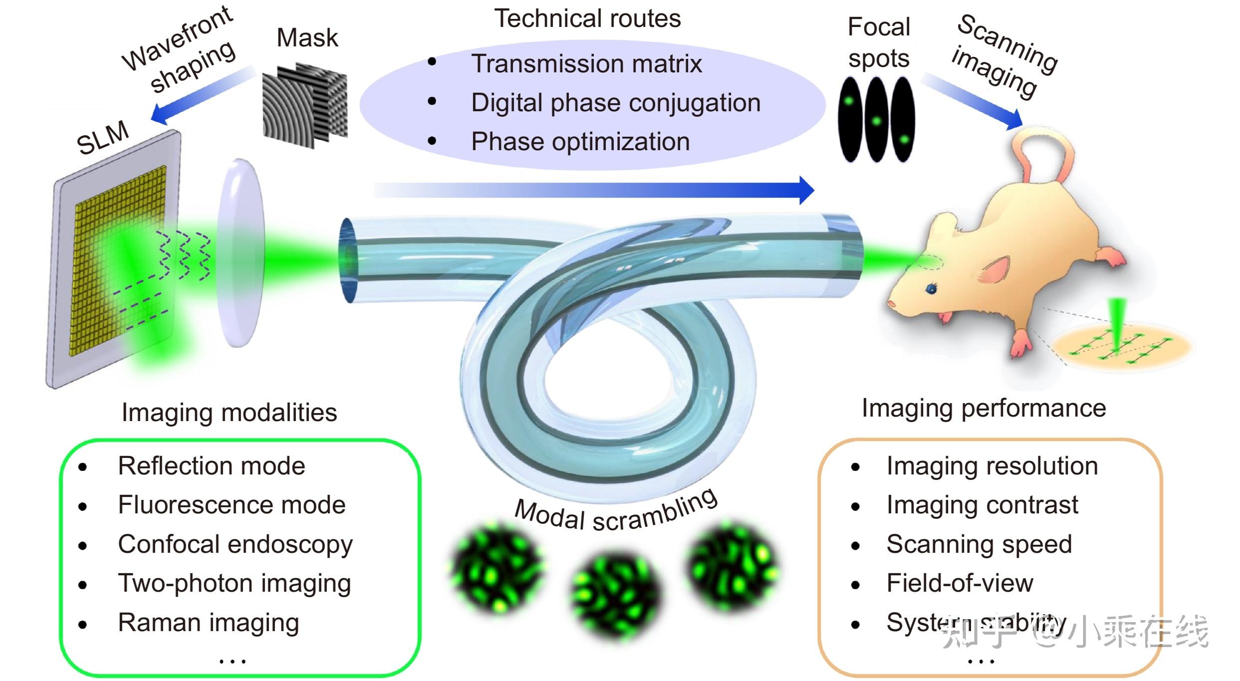 Optical scanning endoscope via a single multimode optical fiber - 知乎