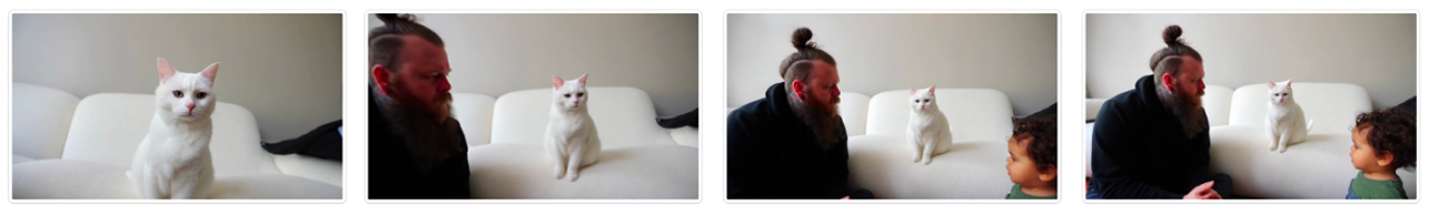 【VLM技术报告】《Hunyuan Video:用于大型视频生成模型的系统化框架》 - 知乎