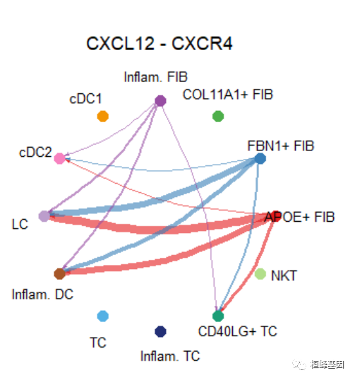SCS【25】单细胞细胞间通信第一部分细胞通讯可视化（CellChat） - 知乎