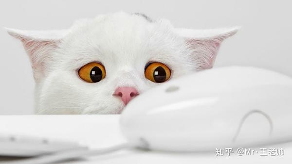 闺蜜竟然和我前男朋友在一起，我应该怎么办？ 知乎