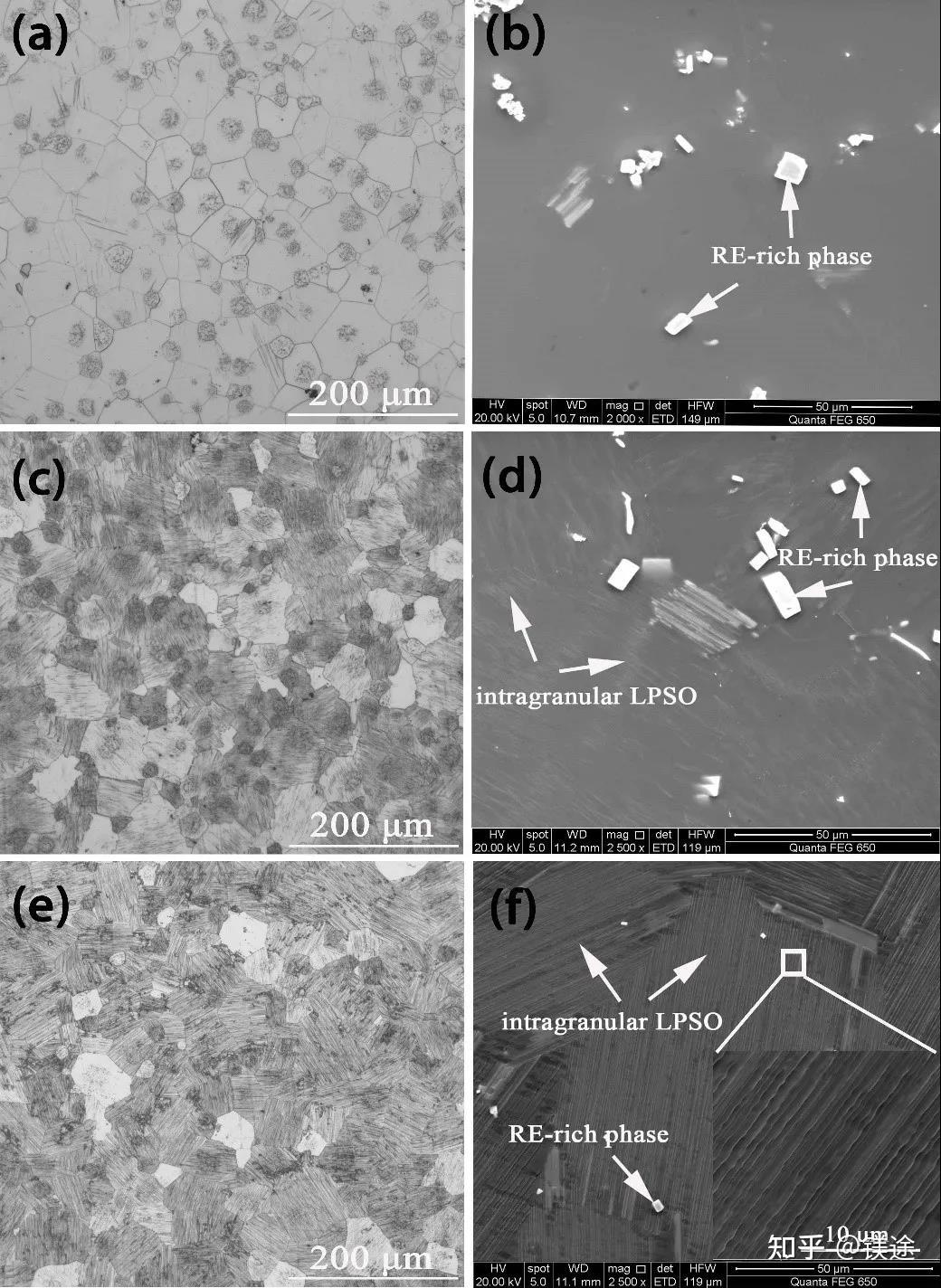 镁科研：冷却速率对固溶态Mg-Gd-Er-Zn-Zr合金基面析出相及时效硬化 - 知乎
