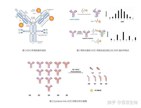 ADC 药物表征——还原 ADC 药物载样量分析 - 知乎