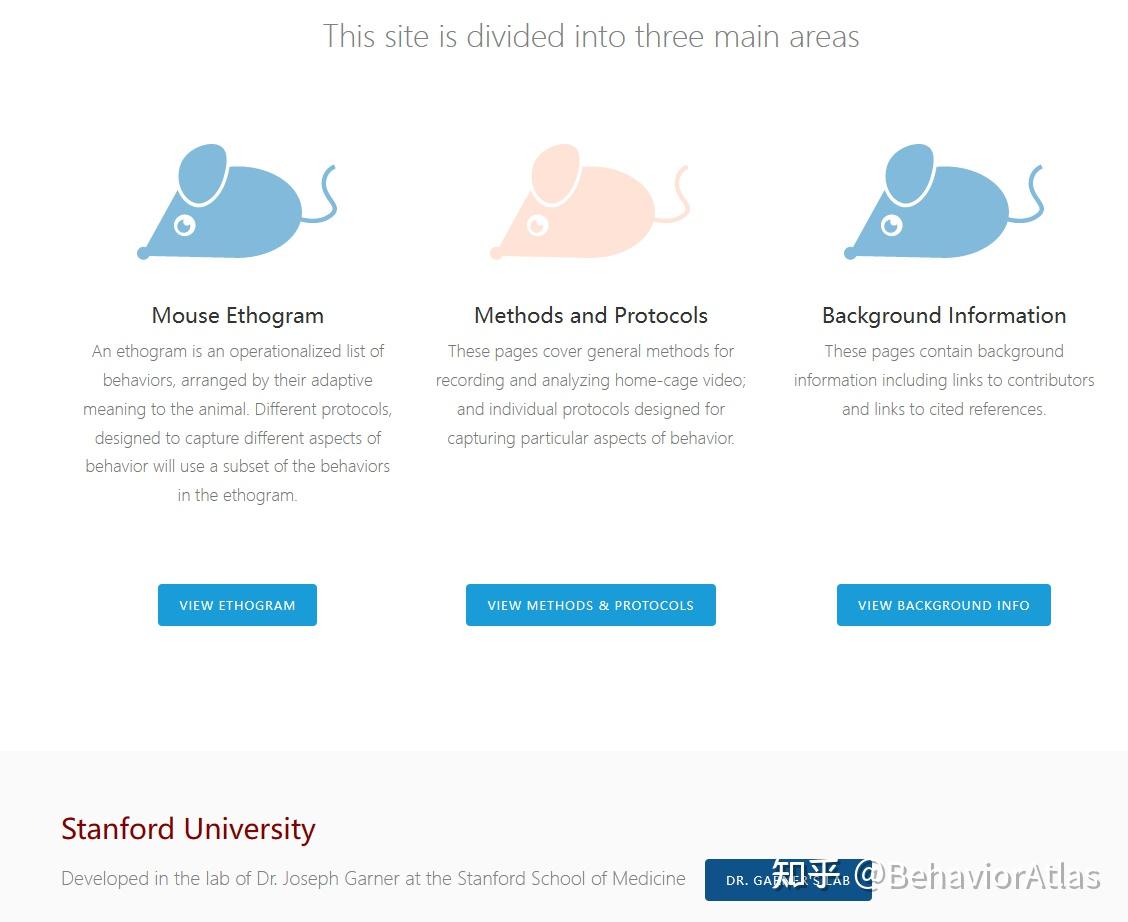 「Ethogram/行为谱」是什么？ - 知乎