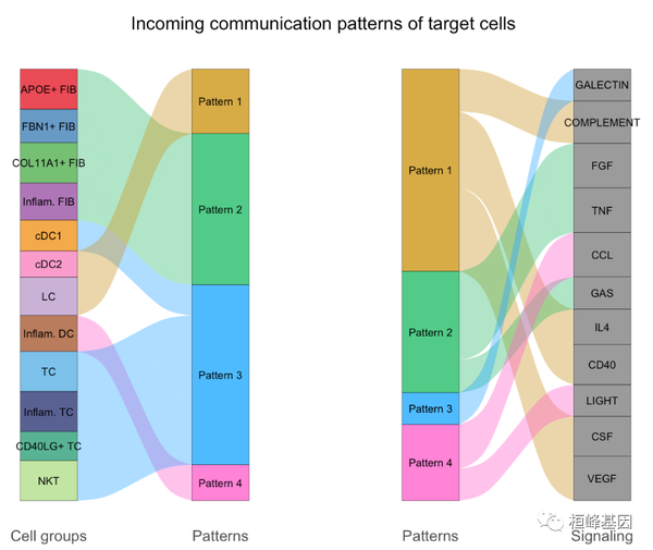 SCS【26】单细胞细胞间通信第二部分通信网络的系统分析（CellChat） - 知乎