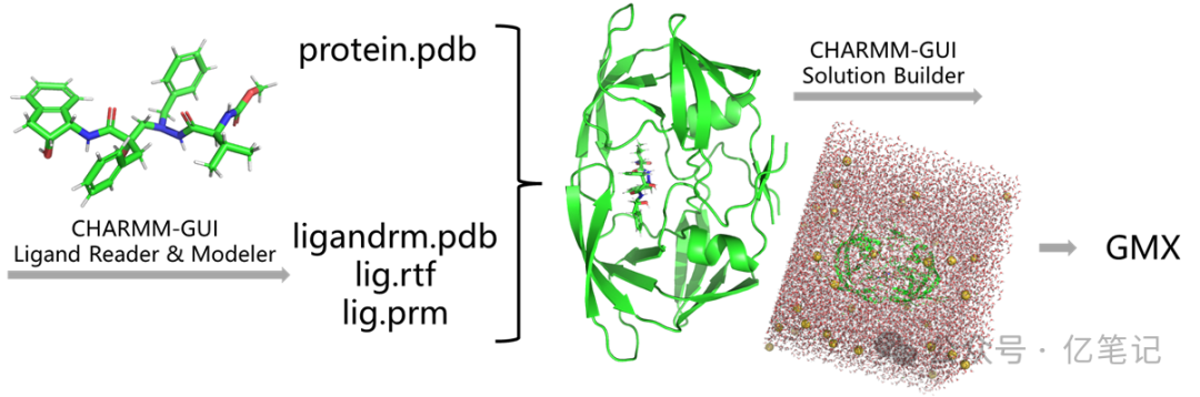 蛋白-配体小分子动力学模拟：完全使用CHARMM-GUI建模 - 知乎