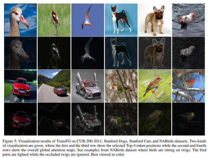 《TransFG： A Transformer Architecture for Fine-Grained Recognition》论文详解 - 知乎