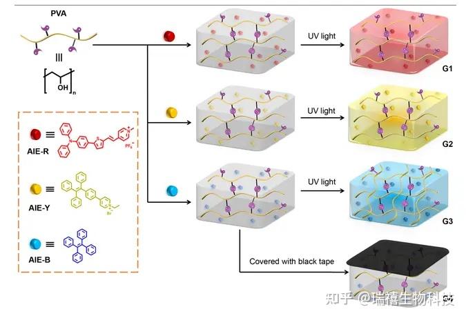 AIE罗丹明双吡啶甲基氨基萘酰亚胺荧光探针repn/AIE苯并噻唑衍生物荧光探针的研究 - 知乎