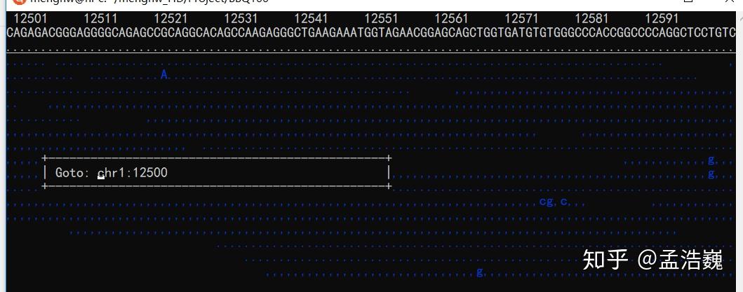 生物信息学100个基础问题 —— 第28题 如何使用samtools tview在命令行下对BAM文件进行可视化？ - 知乎