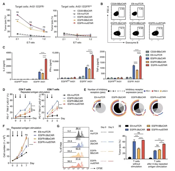 STAR-T: 兼具CAR-T和TCR-T优势，治疗实体瘤的新策略 - 知乎