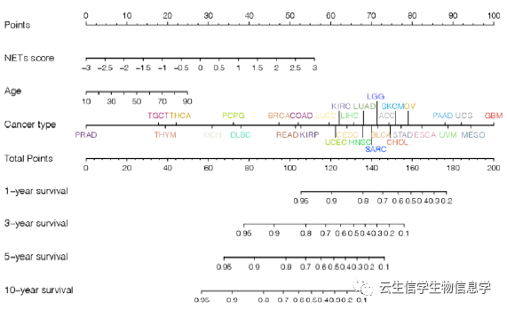 【小云解读生信图】分析报告中的Nomogram(诺莫图/列线图)你会看吗？这篇给你详细解答！ - 知乎